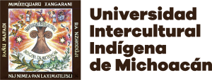 Convocatorias – UIIM